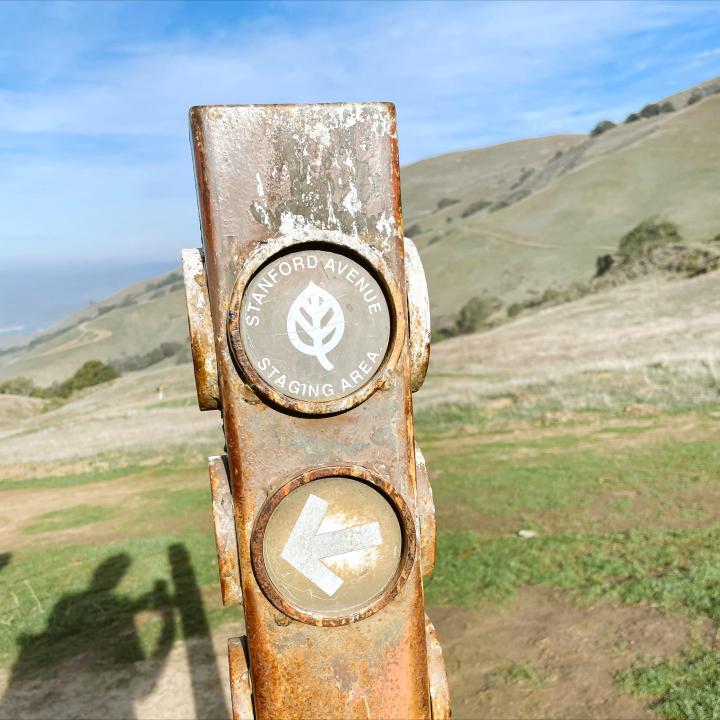 Hike Mission Peak Trail - The Ultimate Guide From A Local - Carrie ...