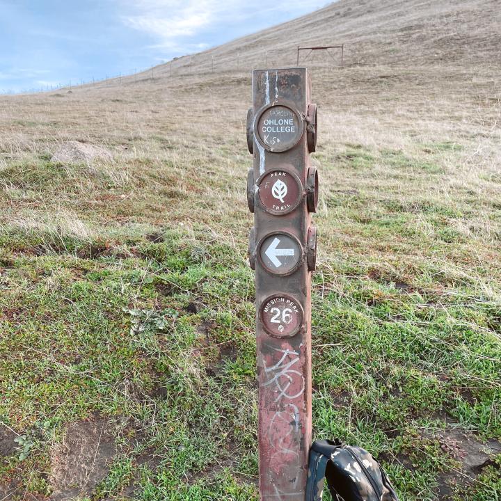 Hike Mission Peak Trail - The Ultimate Guide From A Local