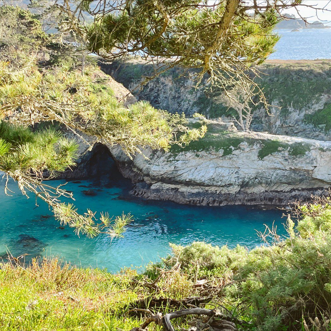 12 Best Things To Do In Point Lobos State Natural Reserve, California