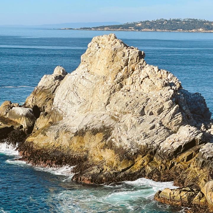 12 Best Things To Do In Point Lobos State Natural Reserve, California ...
