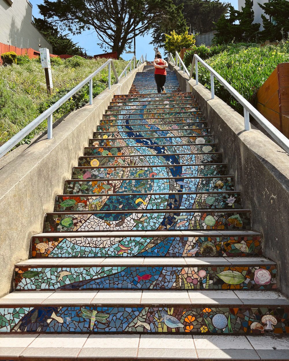 The Best Mosaic Stairs in San Francisco & More Hidden Steps - A Local’s ...